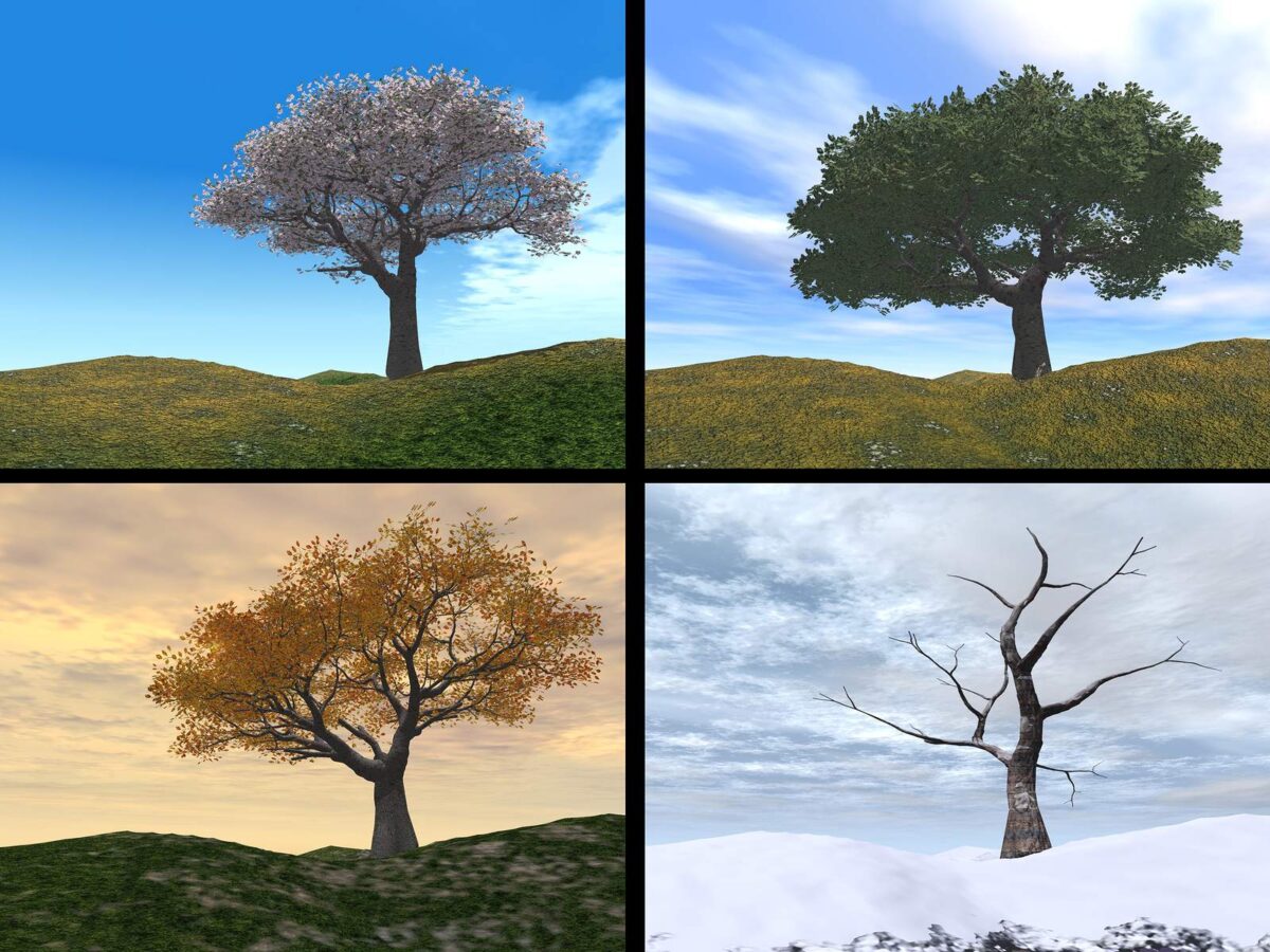 The Four Seasons | Natural Alternative Specialist